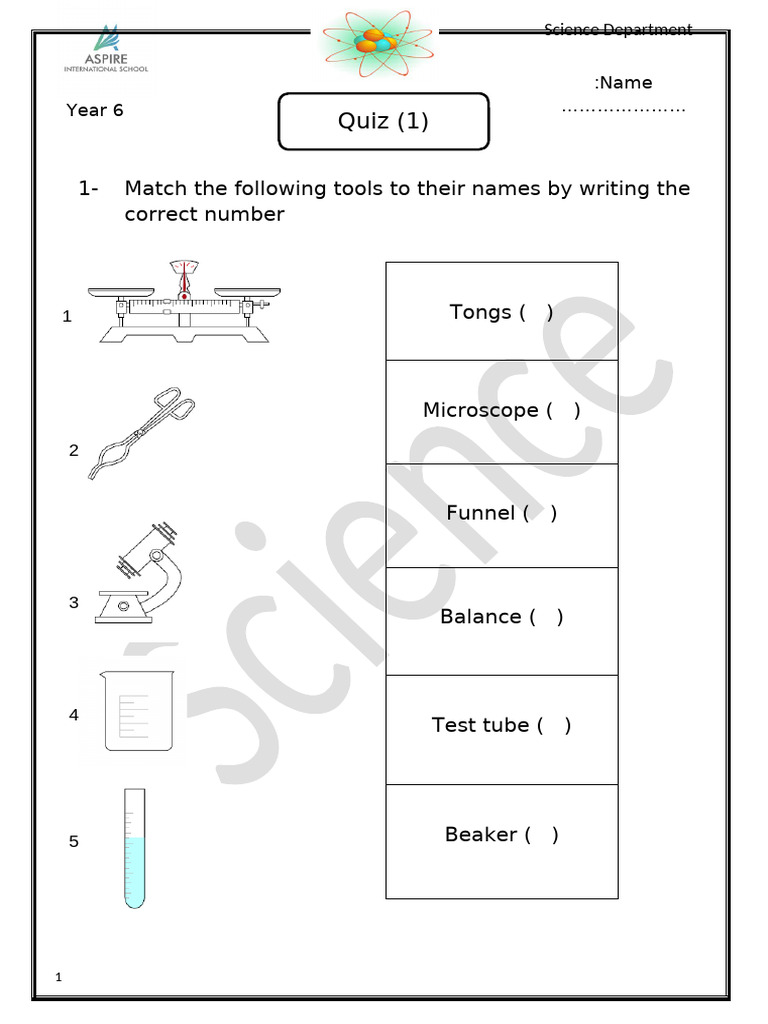 Y6 - Quiz 1 | PDF