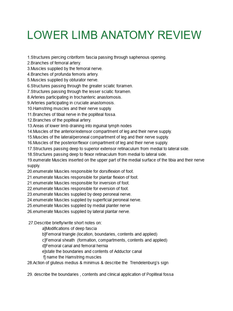 Lower Limb Review by Jurah | PDF | Human Leg | Lower Limb Anatomy