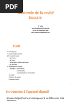 Anatomie de la Cavité Buccale | PDF | Langue | Lèvre