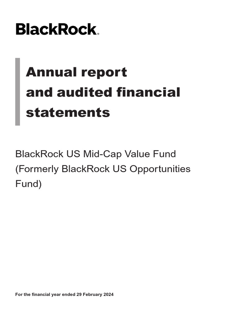 Blackrock Us Midcap Value Fund en Annual Report 2024 | PDF | Investment ...