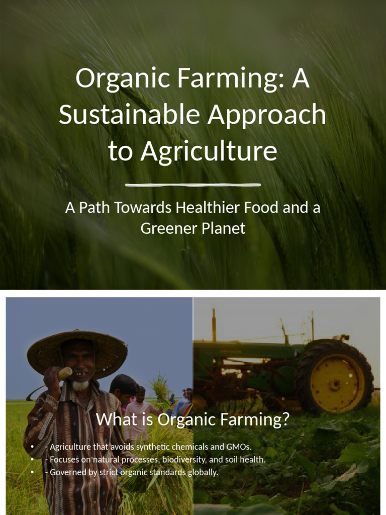 Organic Farming Presentation | PDF