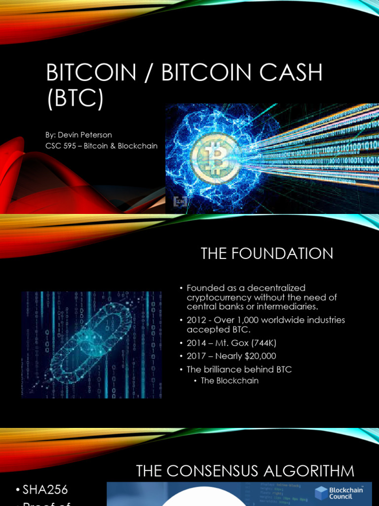 Bitcoin Presentation | PDF