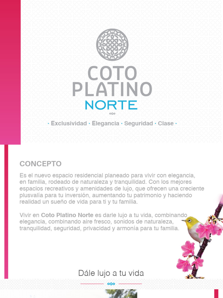 Presentacion Coto Platino Norte | PDF