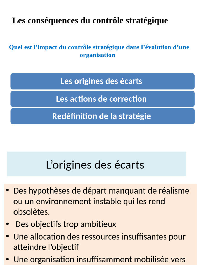 Controle Strategique | PDF