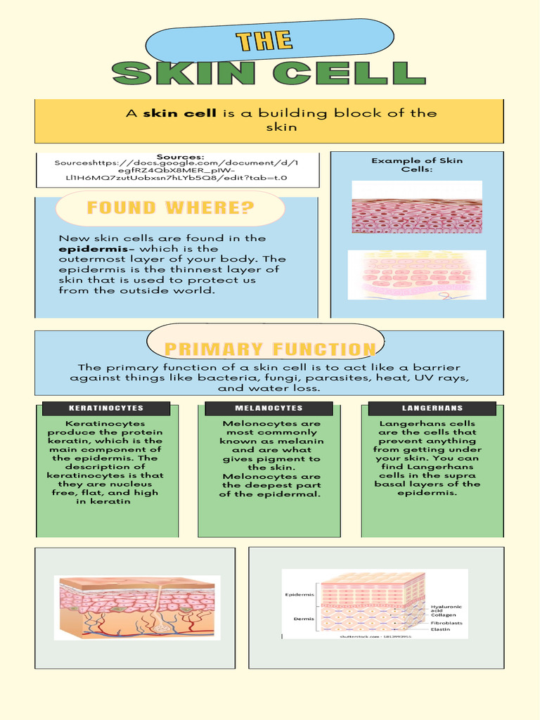 Data Informational | PDF