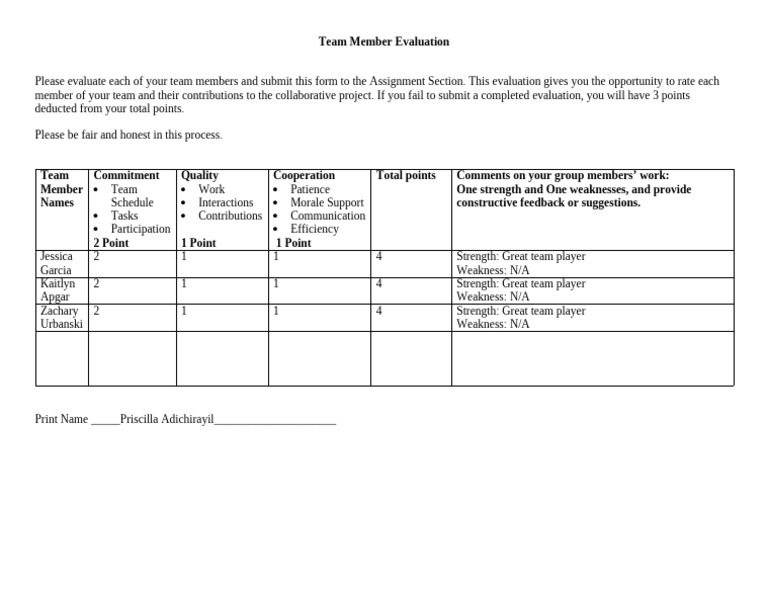 Team Member Evaluation (3) | PDF