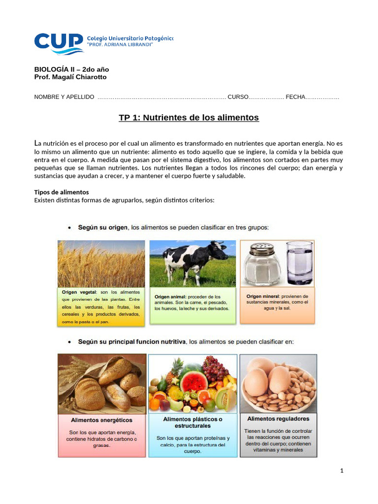 Nutrientes Esenciales en la Alimentación | PDF | Nutrientes | Alimentos