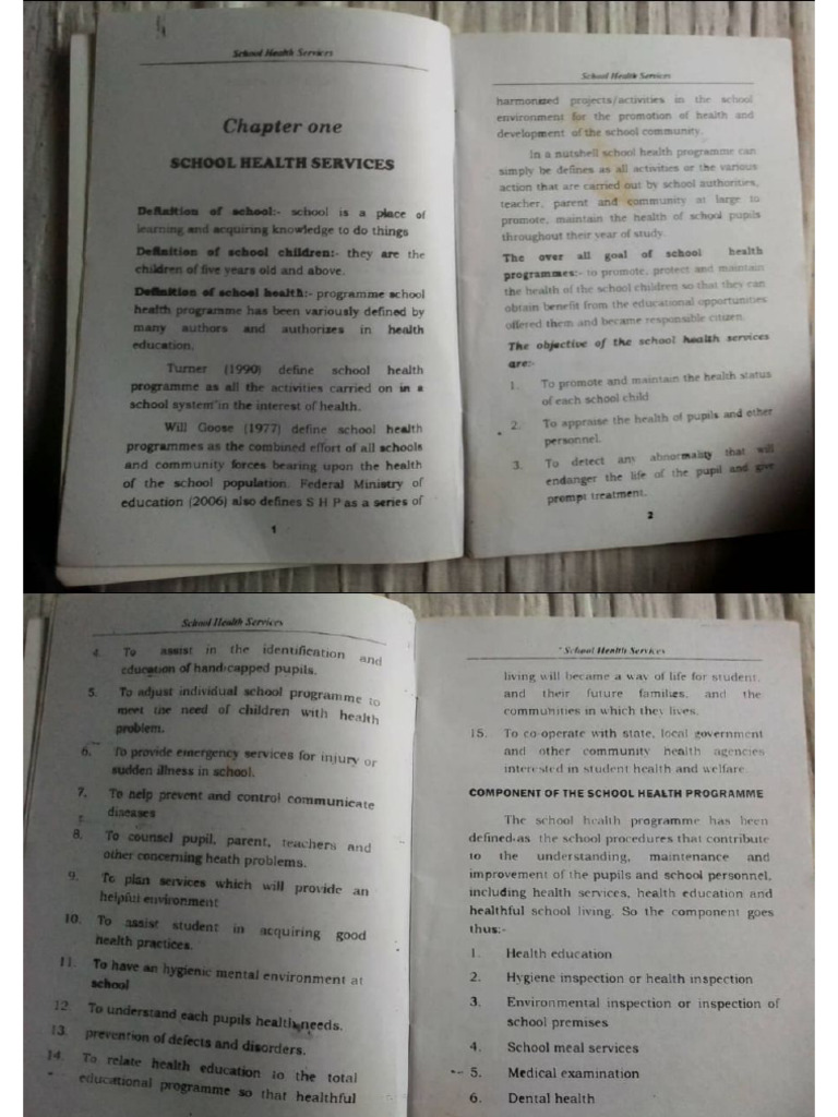 School Health Programme | PDF