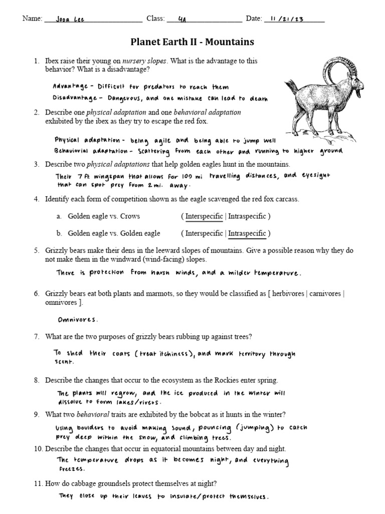 Planet Earth II Mountains | PDF | Grizzly Bear | Bears