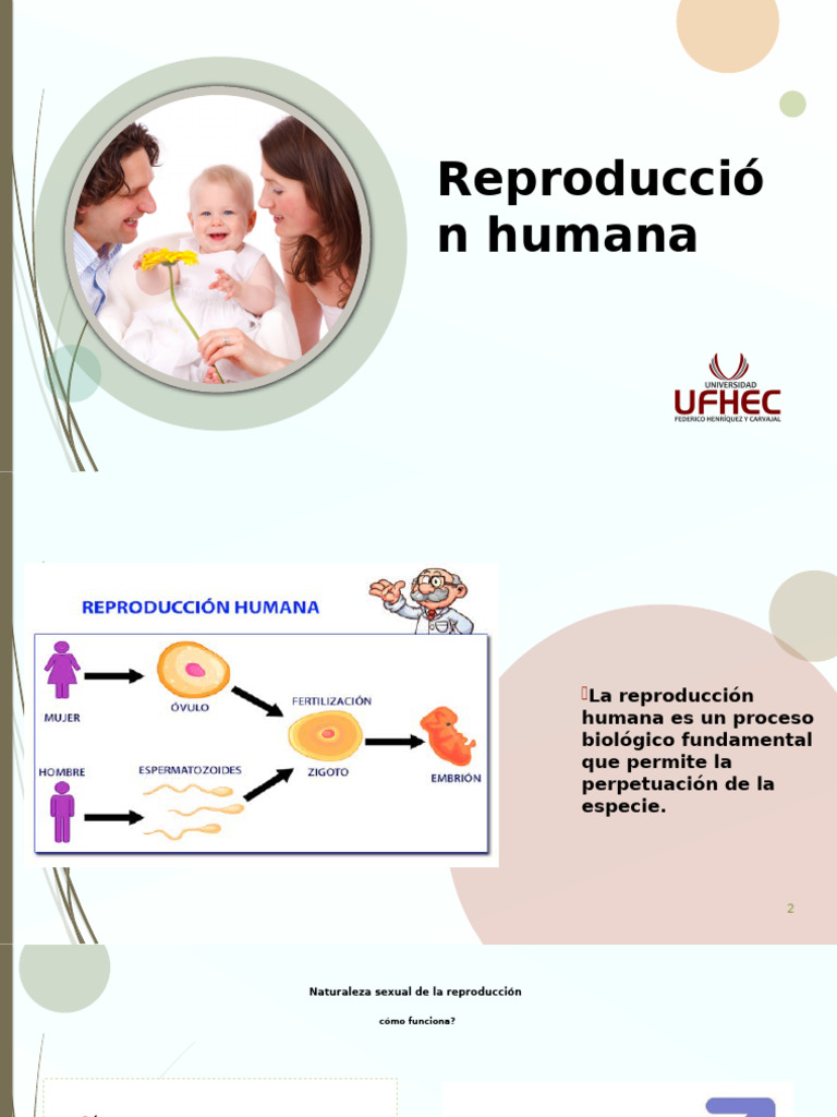 Proceso de Reproducción Humana | PDF | Control de la natalidad ...