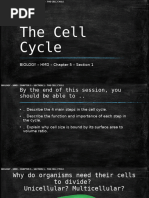 Regenerative Medicine Scaffolds and Angiogenesis | PDF | Angiogenesis ...