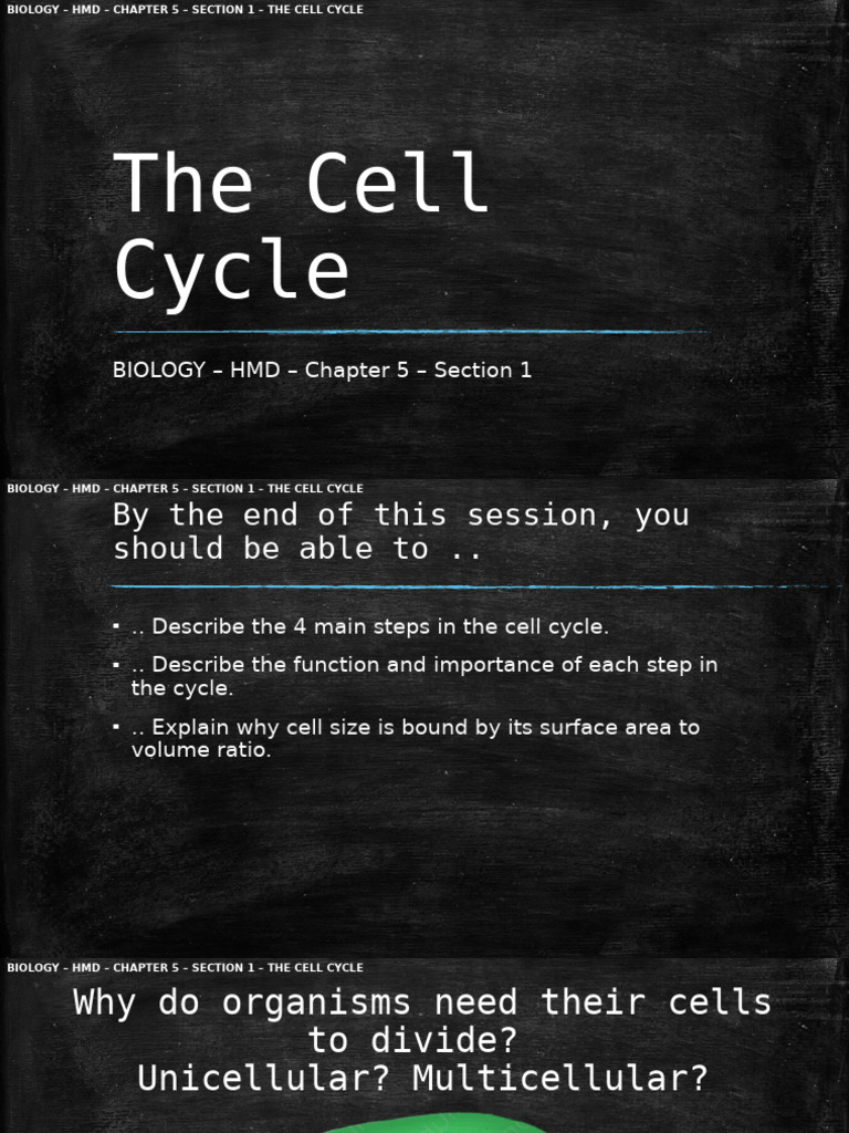 PowerPoint Slides - 5.1 - The Cell Cycle | PDF | Cell (Biology) | Mitosis