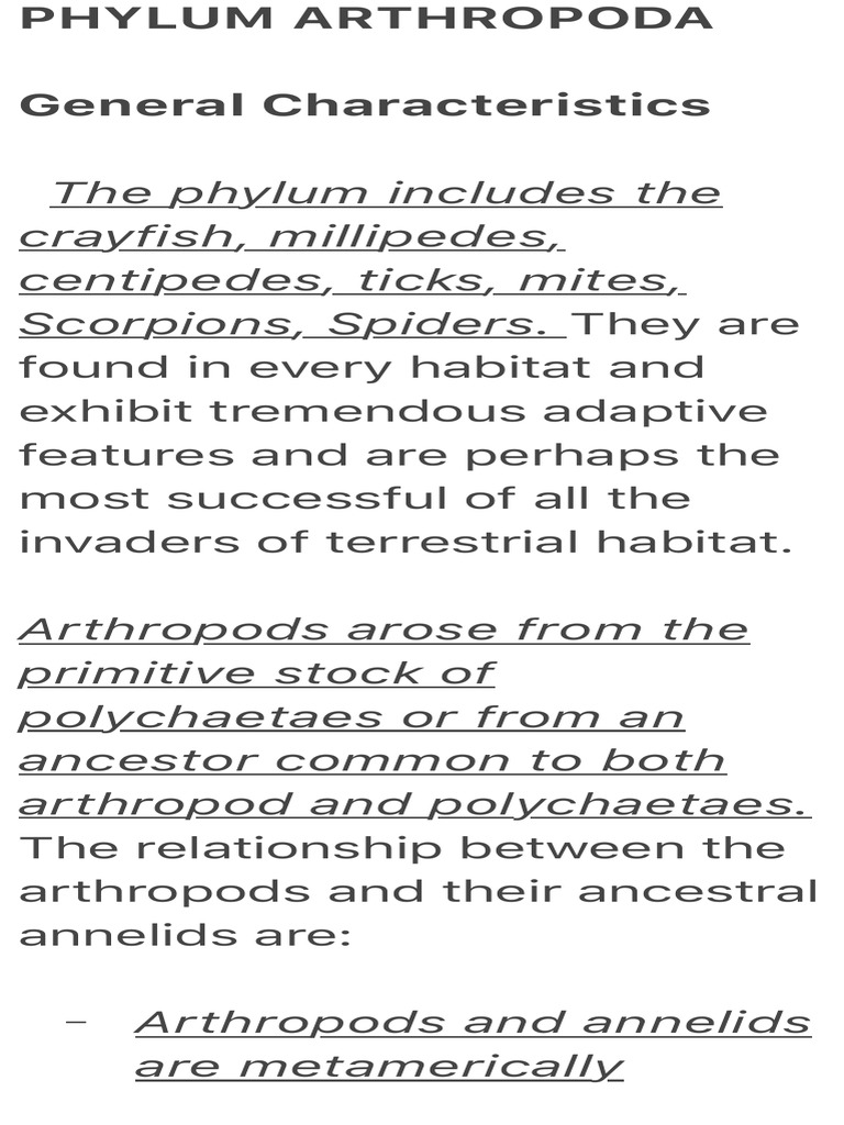 PHYLUM ARTHROPODA | PDF | Insects | Fly
