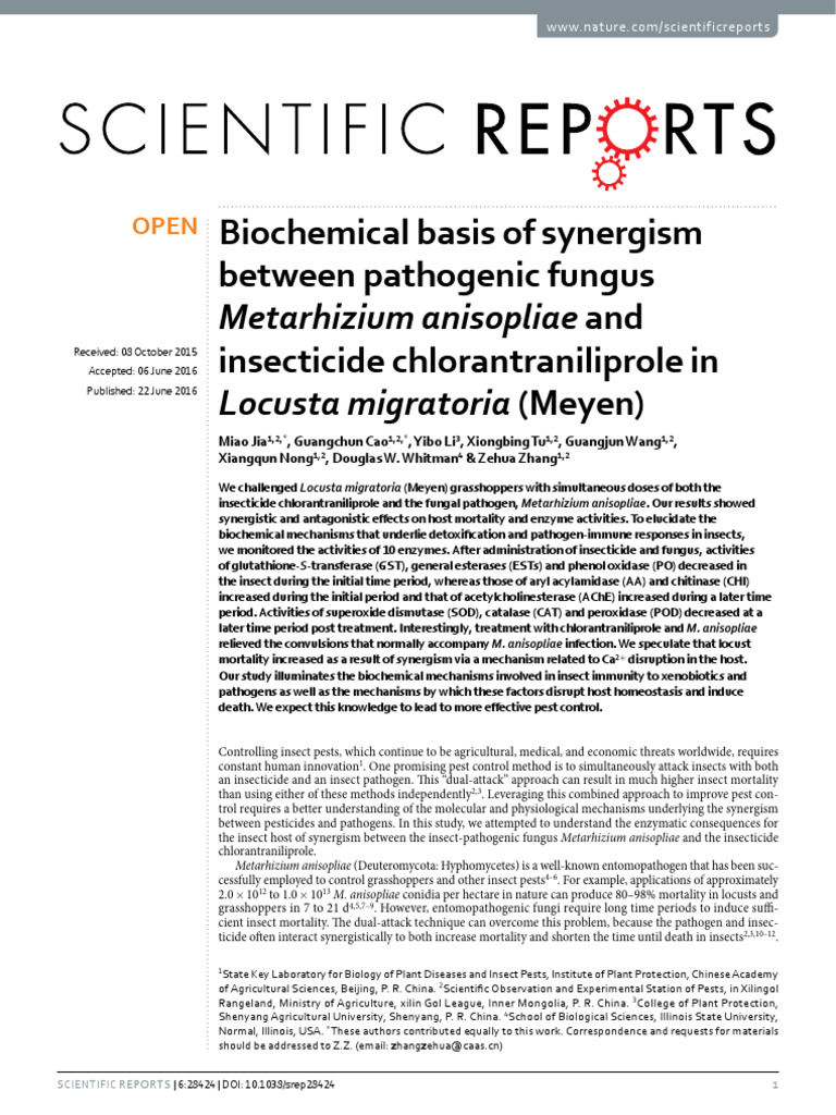 Biochemical Basis of Synergism | PDF | Superoxide Dismutase | Antioxidant