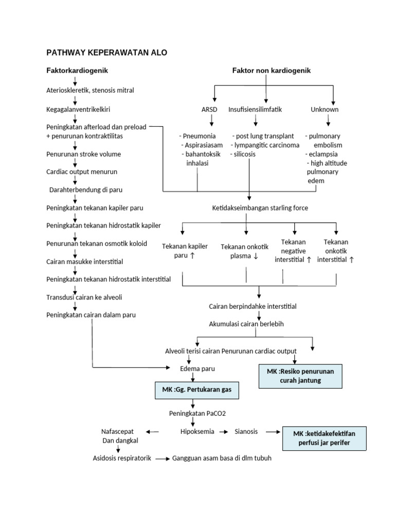 Pathway Keperawatan Alo | PDF