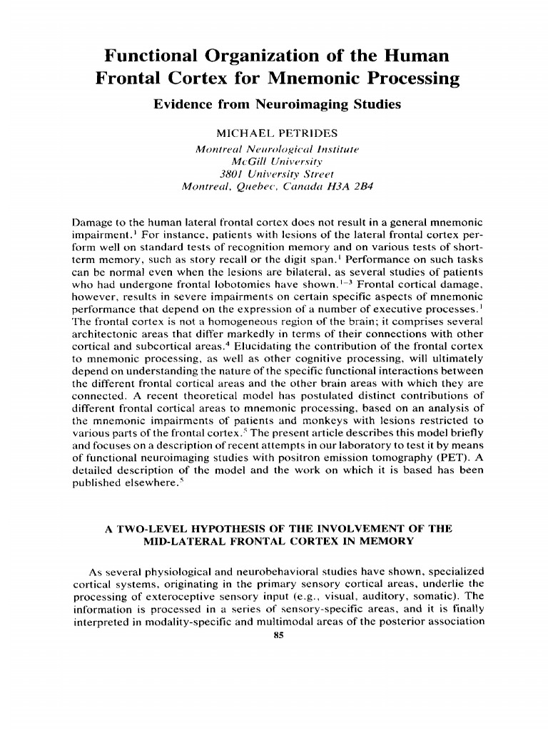 Frontal Lobes and Neuroimaging | PDF | Working Memory | Frontal Lobe