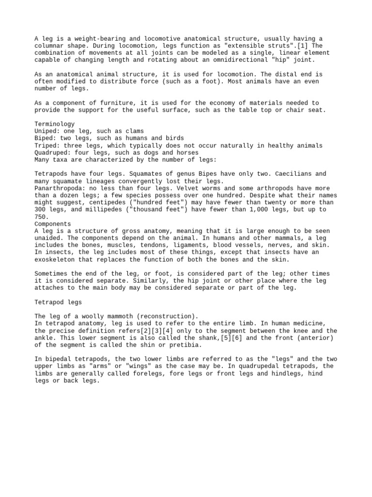 Leg | PDF | Leg | Musculoskeletal System