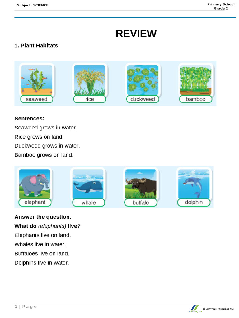 Review 1_Science 2 | PDF