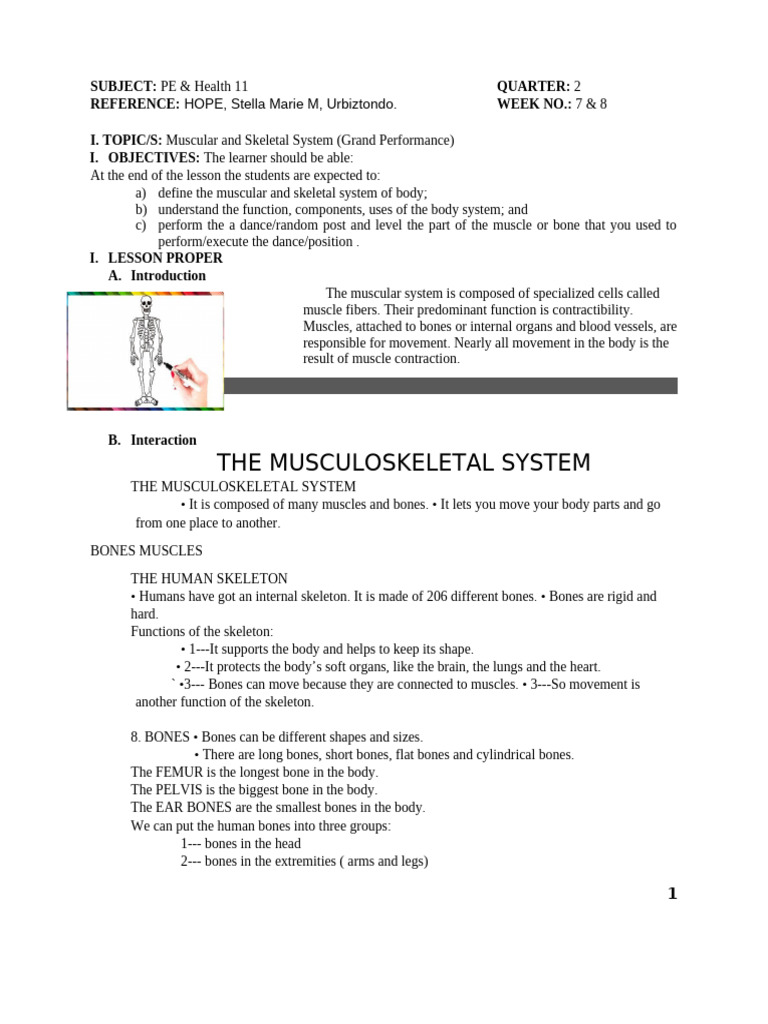 PE Health 11 2nd Quarter MODLE 7 8 MUSCULAR AND SKELETAL SYSTEM | PDF ...