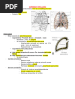 Netter Corazon | PDF | Ventrículo (corazón) | Corazón