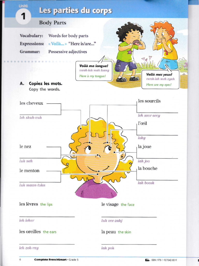 Parties du corps en français - Grade 5 | PDF