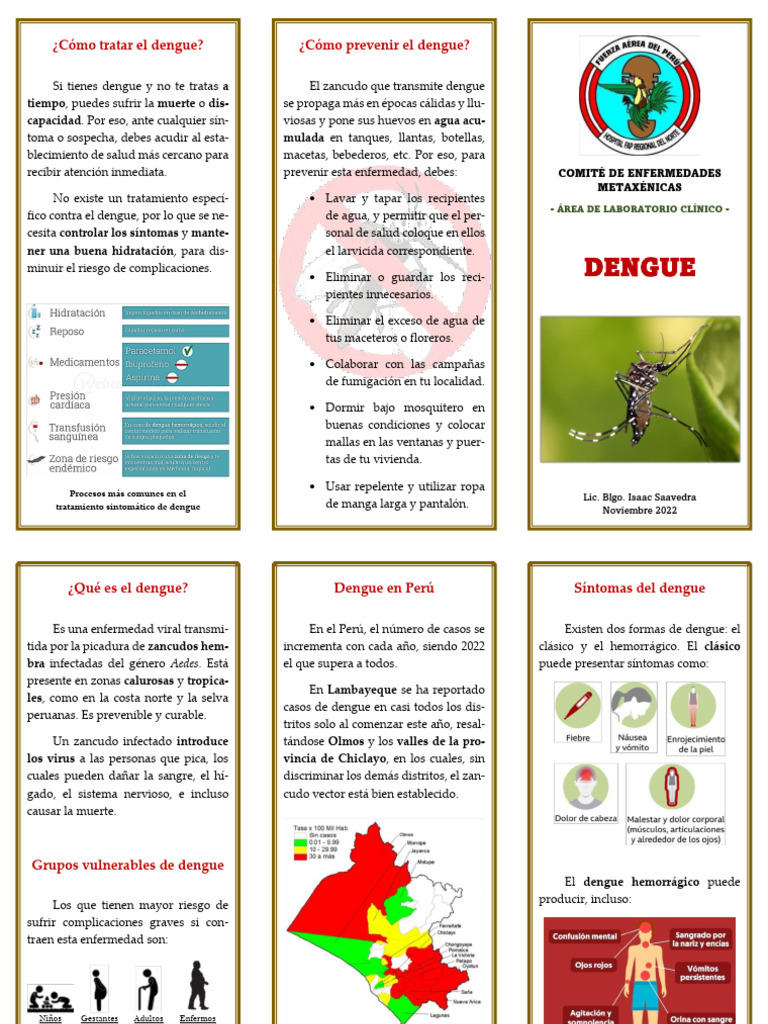 Cómo tratar y prevenir el dengue | PDF | Salud pública | Ciencias de la ...