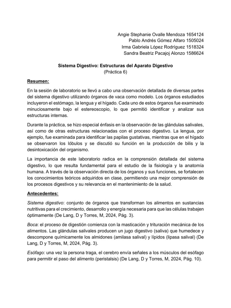 Reporte Práctica 6 | PDF | Bilis | Digestión