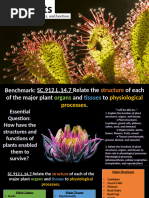 Let em Play God Questions | PDF