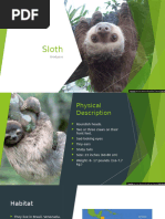 Sloths | PDF | Mammal Orders | Herbivorous Animals