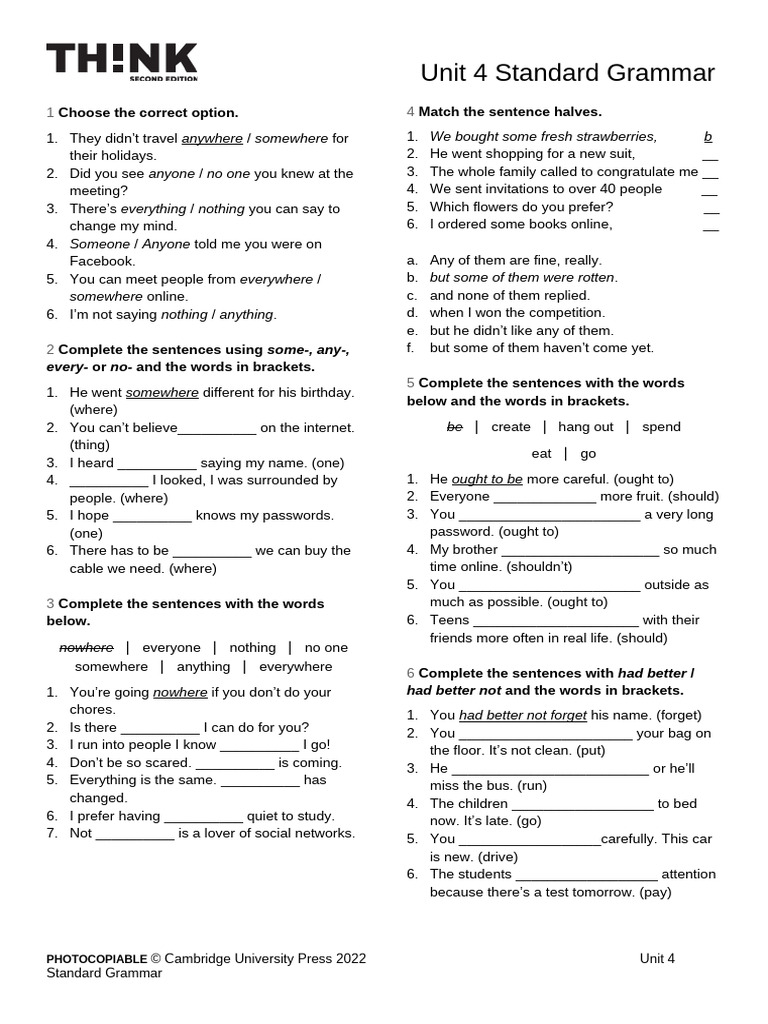 Unit 4 Standard Grammar Exercises | PDF