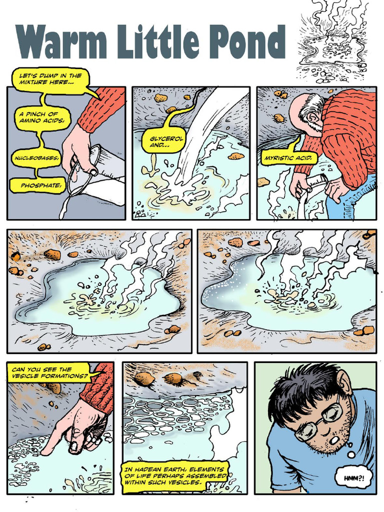 Warm Little Pond 1color | PDF