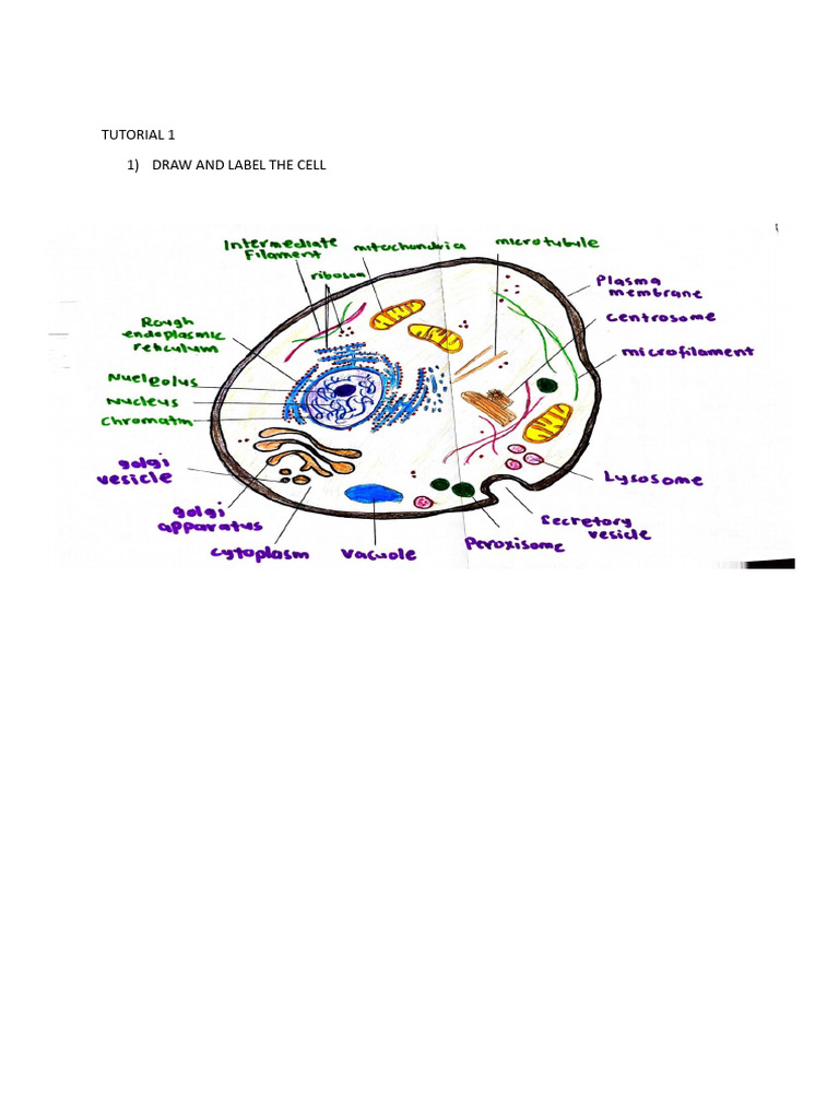 TOPIK 2 TUTORIAL 2 | PDF