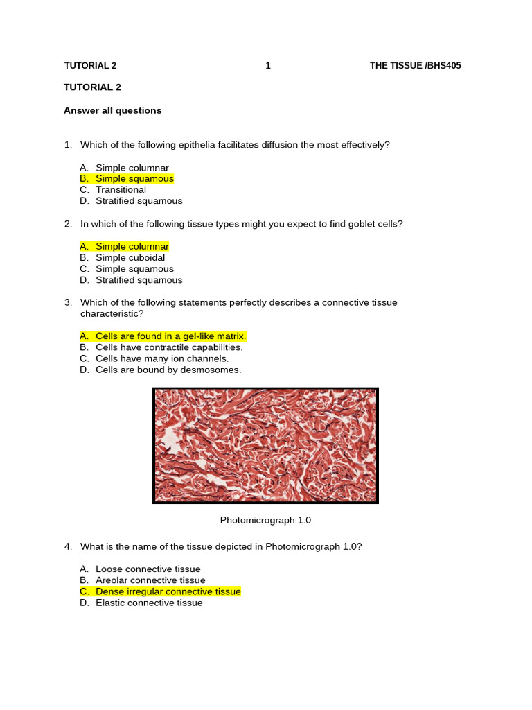 Topik 3 Tutorial 2 | PDF | Epithelium | Connective Tissue