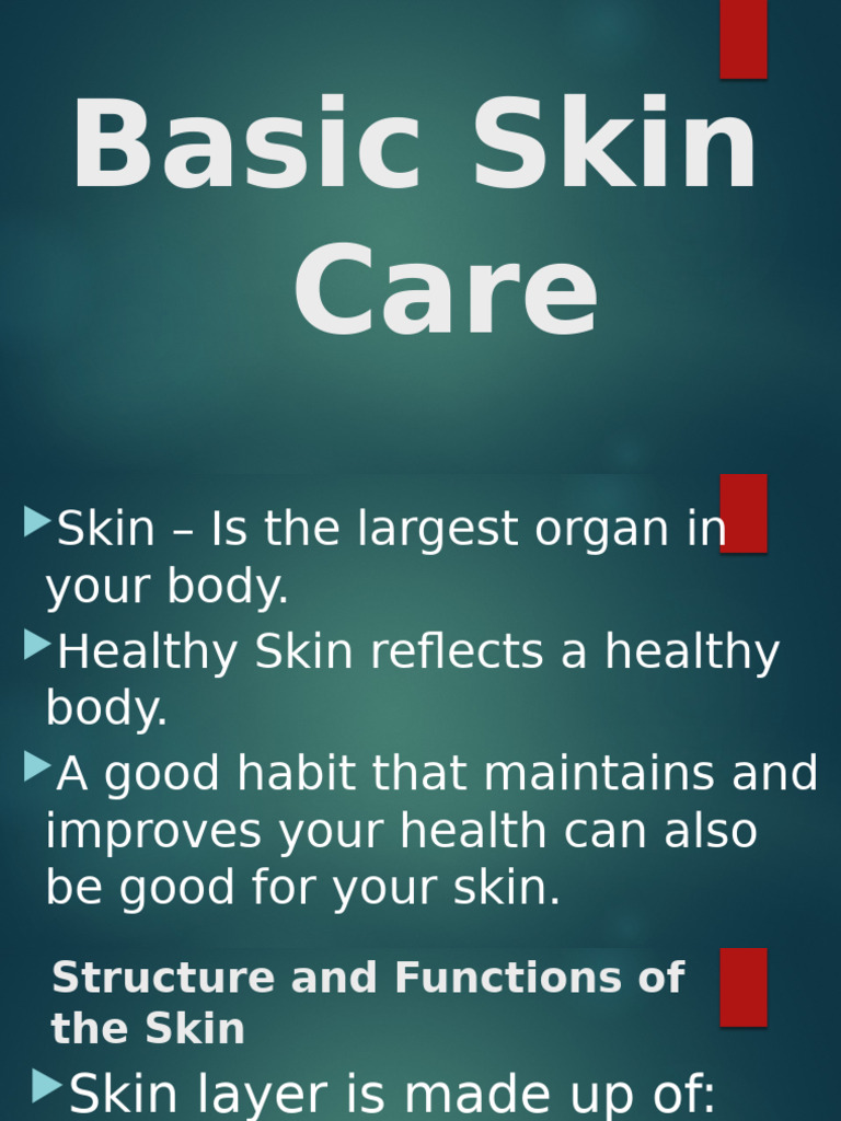 Basic Skin | PDF