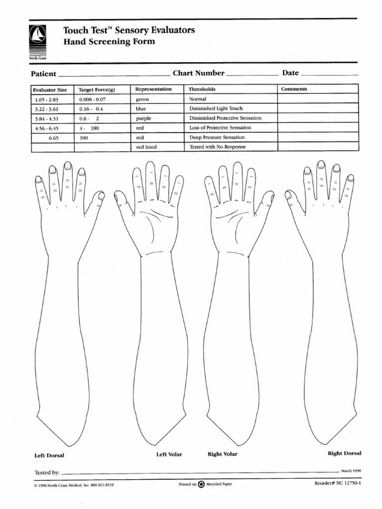 Hand Screening Forms | PDF