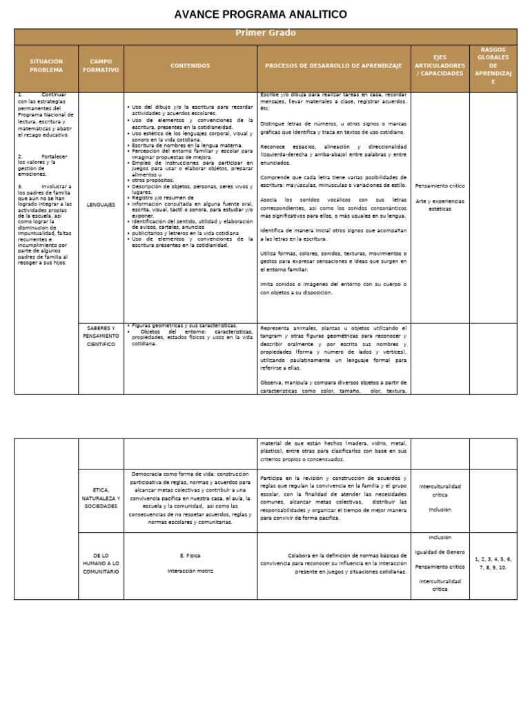 Avance Prog. Analit | PDF | Escritura | Cognición