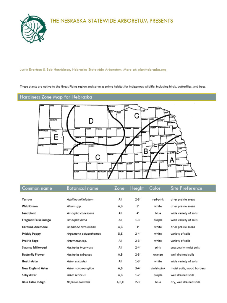 Nebraska Native Prairie Plants Guide | PDF | Botany | Plants