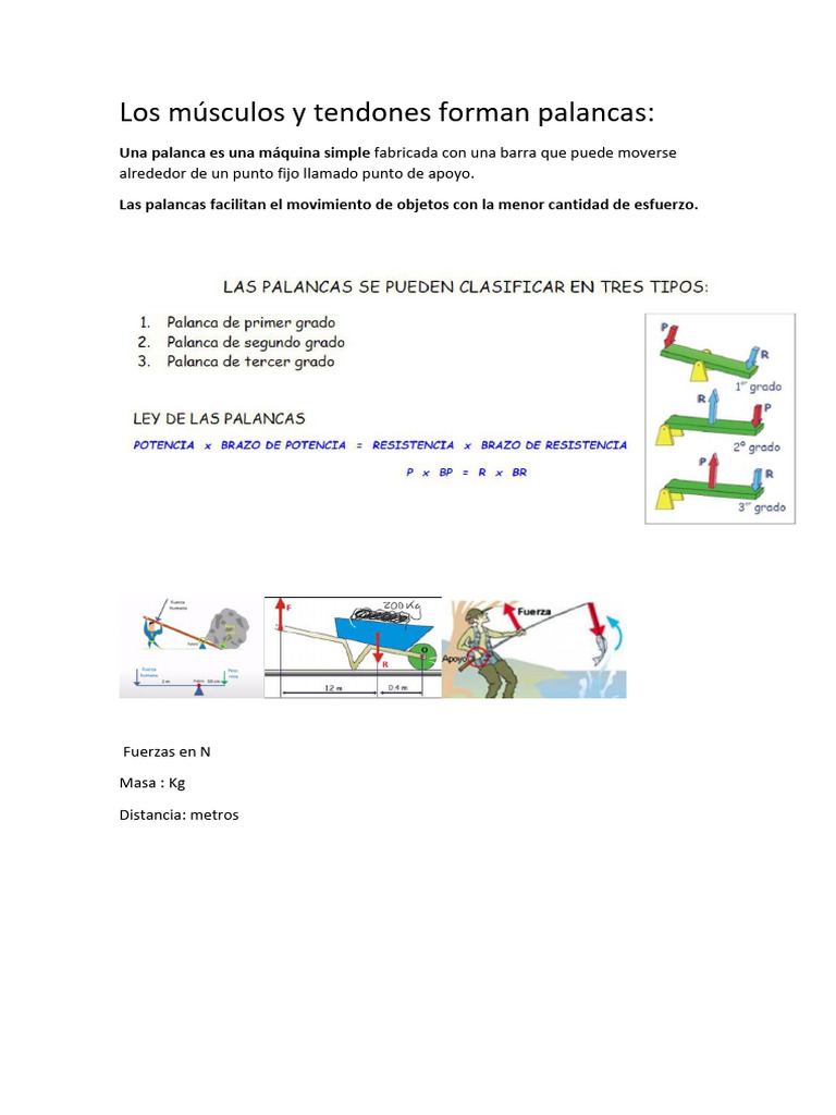 BIOMECÁNICA Y PATOLOGÍA APLICADA - Fisiología Osteoarticular, Muscular ...