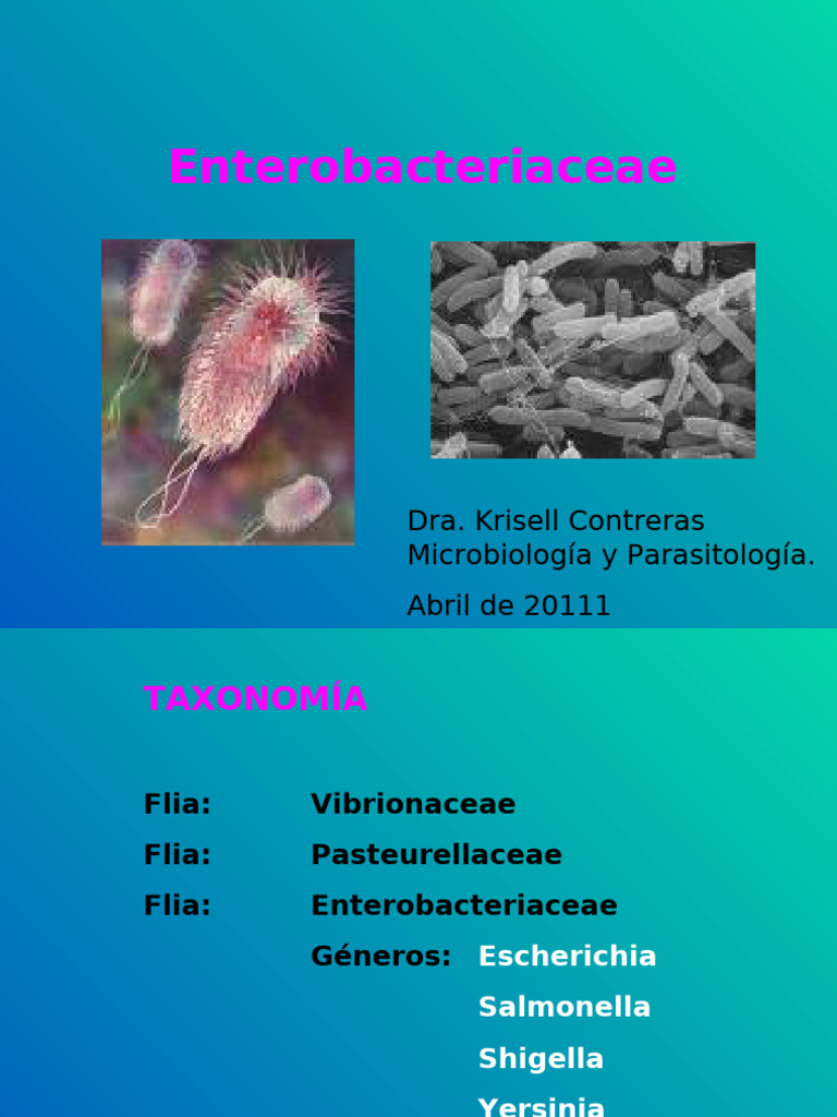Enterobacterias | PDF | Escherichia coli | Peste (enfermedad)