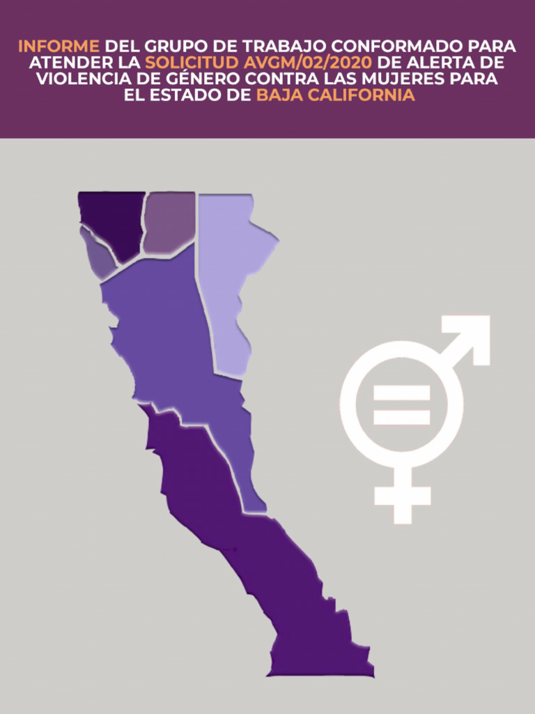 Informe GT Solicitud AVGM BC | PDF | La violencia contra las mujeres ...