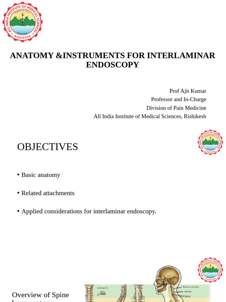 Anatomy_for_IELD | PDF | Vertebra | Anatomical Terms Of Location