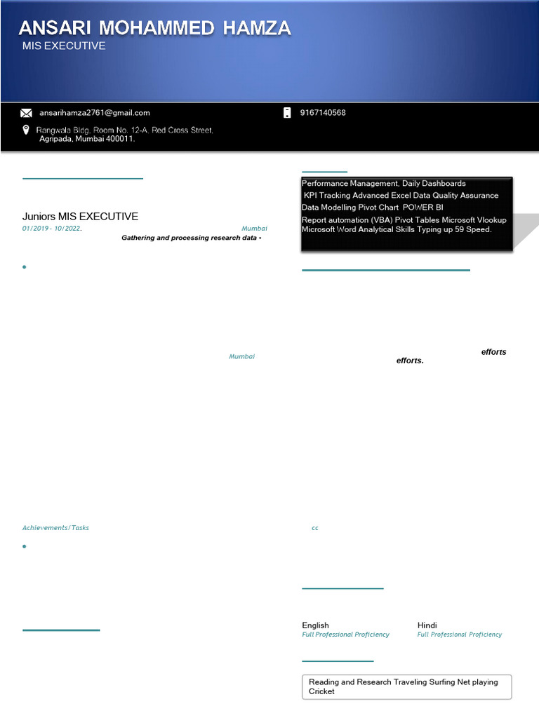 Ansari Hamza Resume Mis Executive PDF | PDF | Information Technology Management | Data