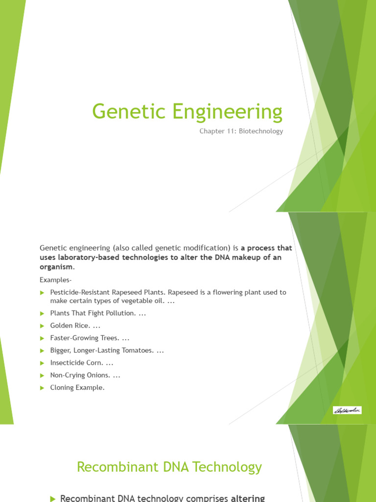 Chapter 11-Genetic Engineering | PDF | Molecular Cloning | Plasmid