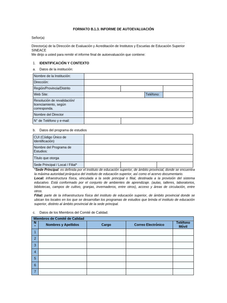 FORMATO B-1-3 Informe de Autoevaluación | PDF | Educación más alta ...