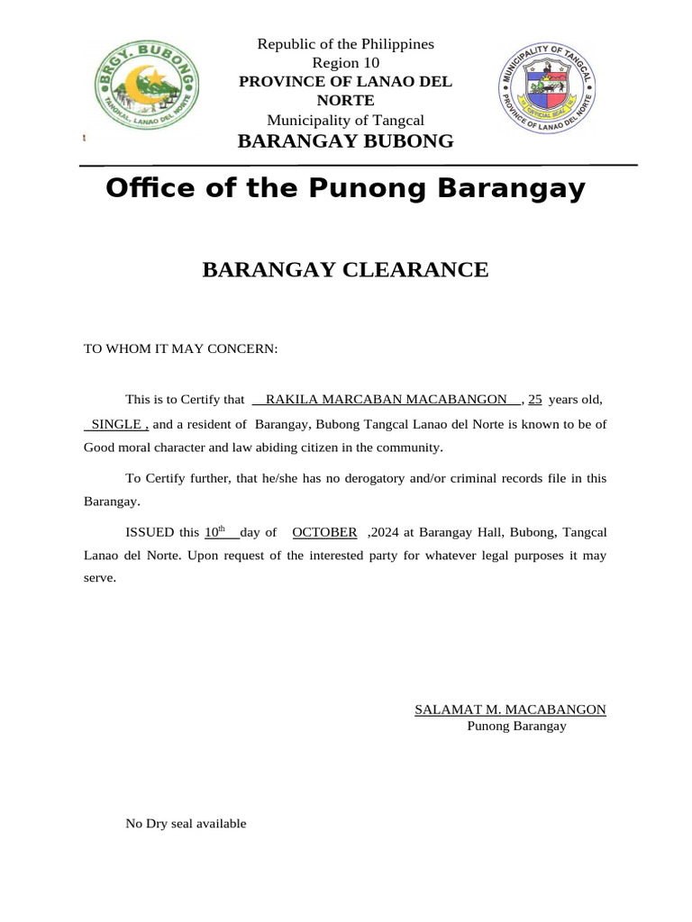 Office of The Punong Barangay | PDF