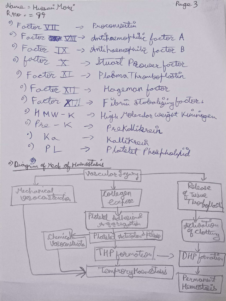 Image - To - pdf1069385623918402825 Physio | PDF