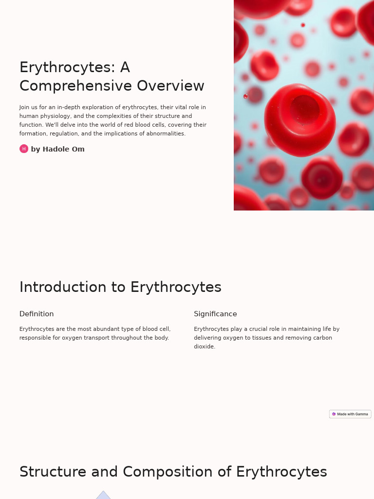Erythrocytes: Structure, Function, and Disorders | PDF | Red Blood Cell ...