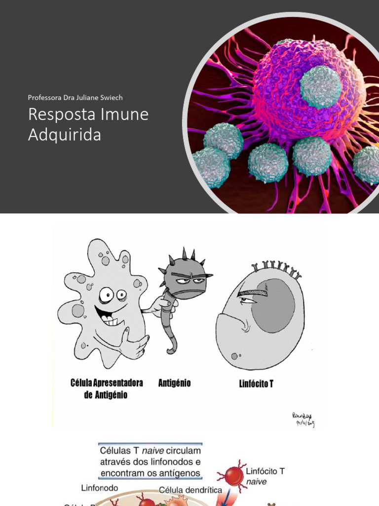 Resposta Imune: Mecanismos e Células | PDF | Sistema imunológico | Célula T
