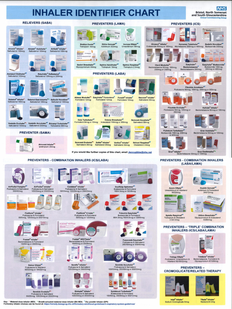 Inhaler Identifier Chart | PDF