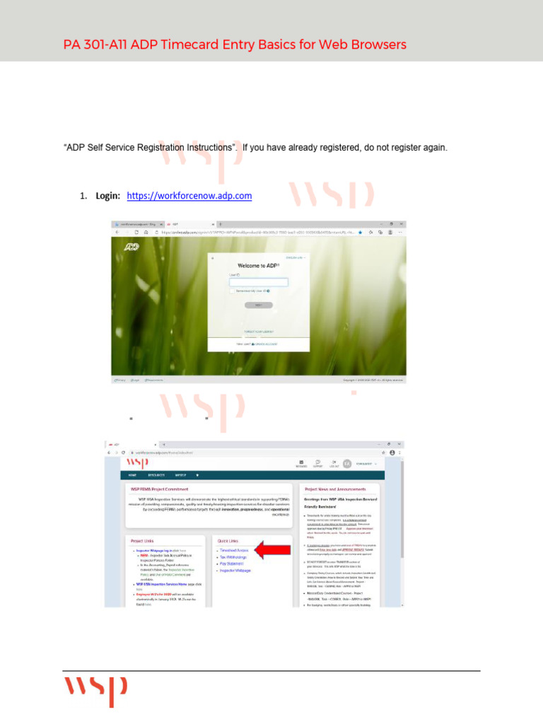PA 301-A11 ADP Timecard Basics For Web Browsers | PDF | World Wide Web ...